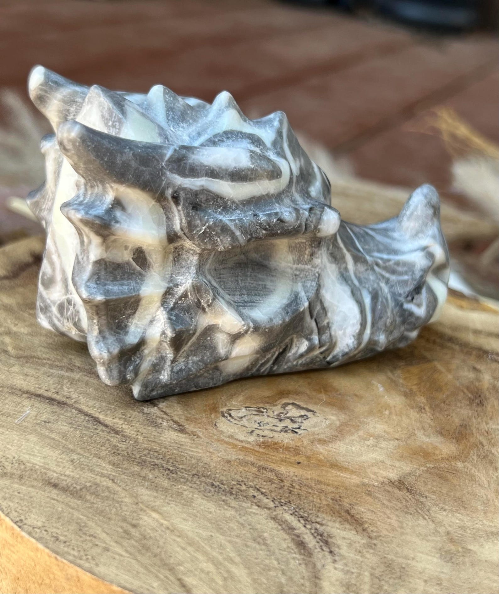 Thousand Eye Jasper Dragon Carving Shell Fossil Stone US Shop - Etsy