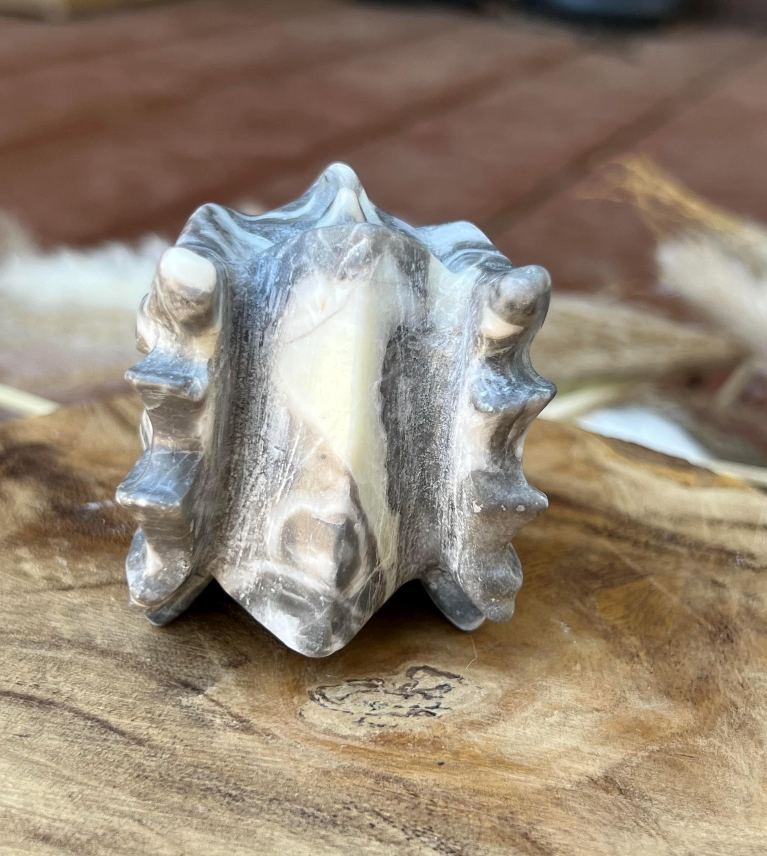 Thousand Eye Jasper Dragon Carving Shell Fossil Stone US Shop - Etsy