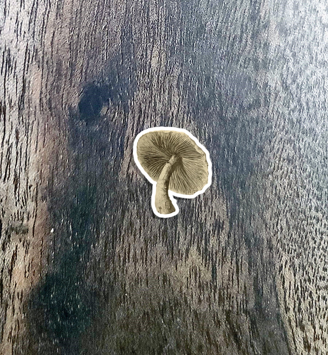 Antique-style Mushroom Sticker! | Fungus | Dark Academia and ...