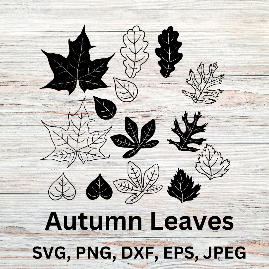 Fall Leaves Cutting File Svg Png Dxf Eps Jpeg Fall Leaves Digital ...