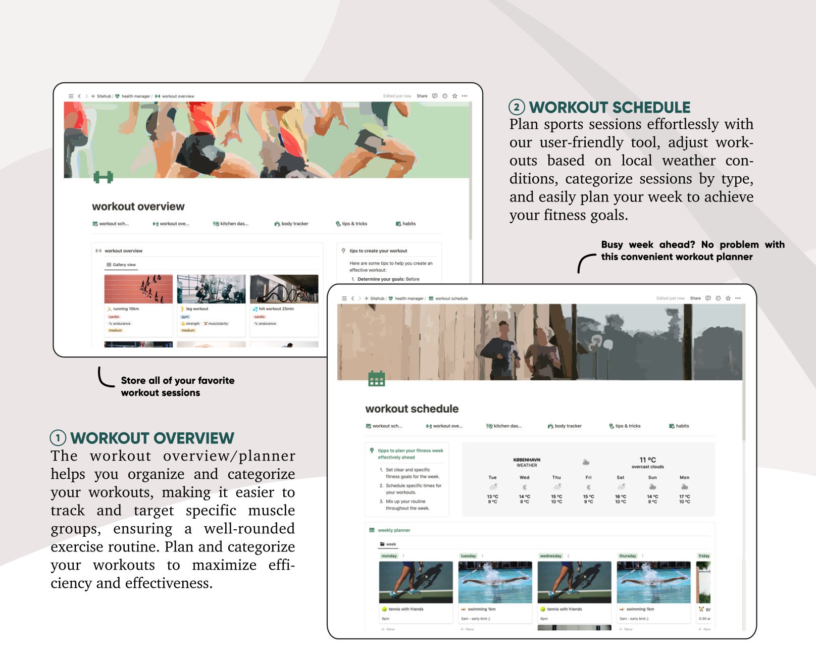 Notation Health Manager Template Aesthetic & Modern Design - Etsy