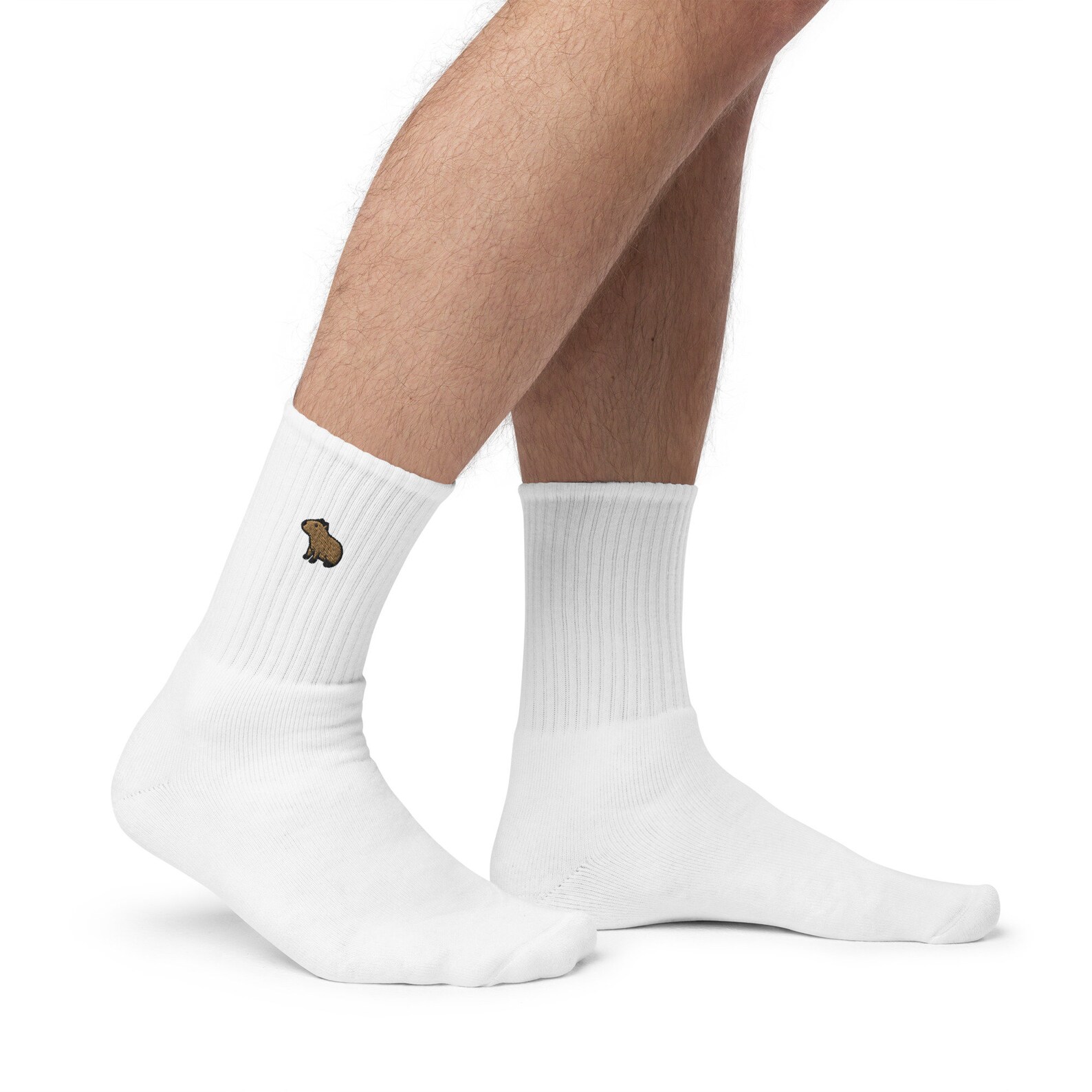 Capybara Themed Embroidered Socks, Unisex, - Multiple Colours - Etsy