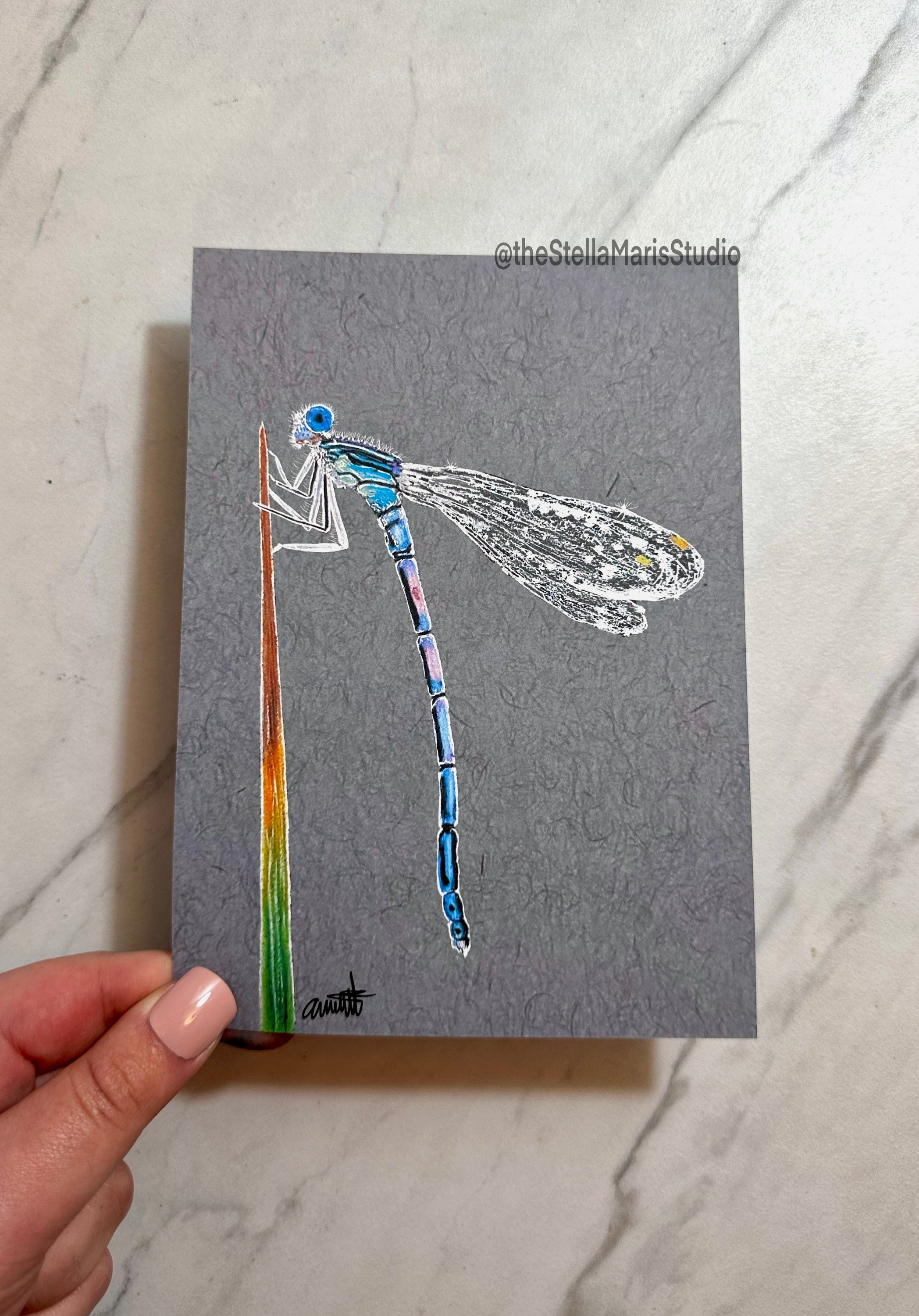 Colored Pencil Damselfly Art Print | Insect Art | Bug Art | - Etsy