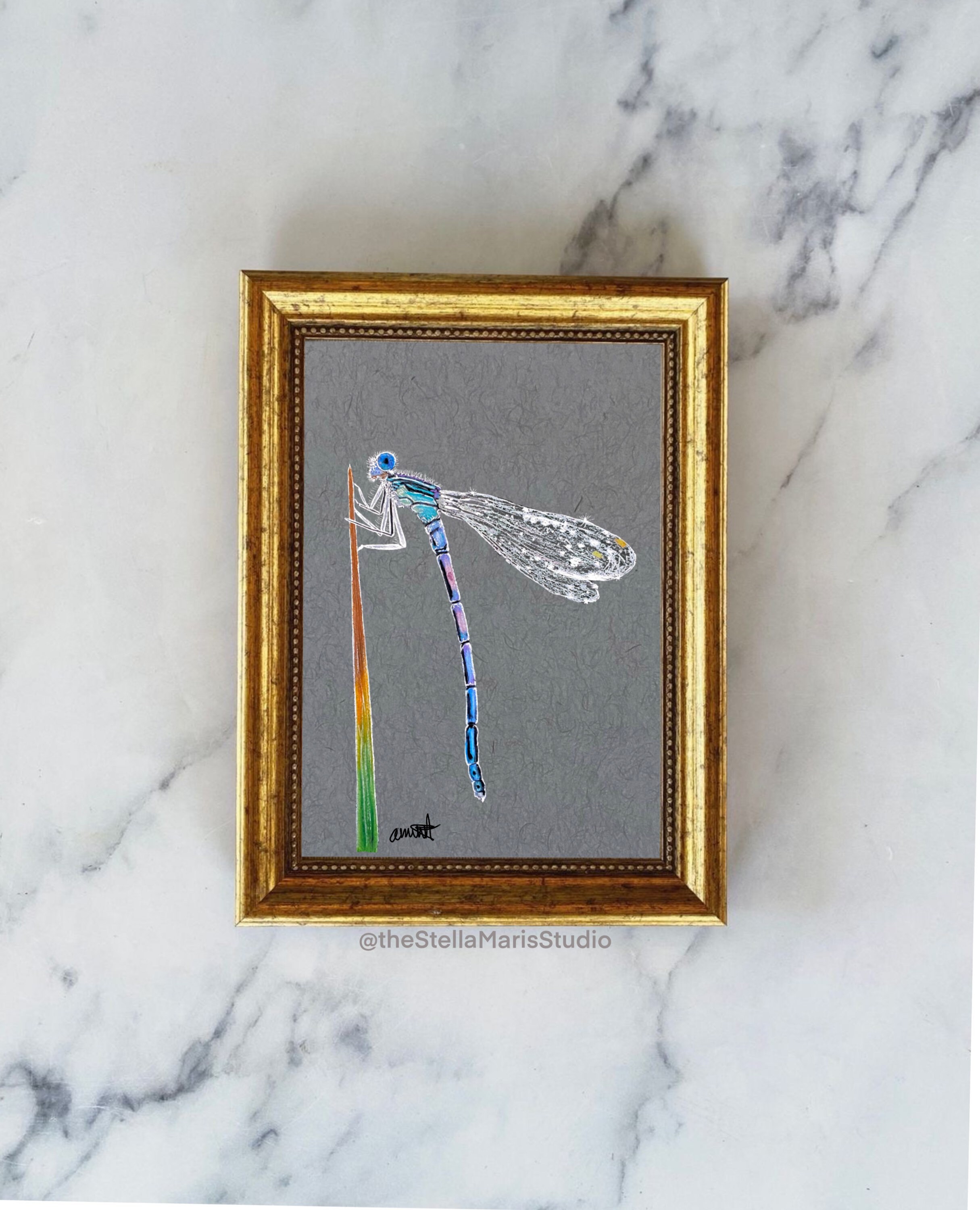 Colored Pencil Damselfly Art Print | Insect Art | Bug Art | - Etsy