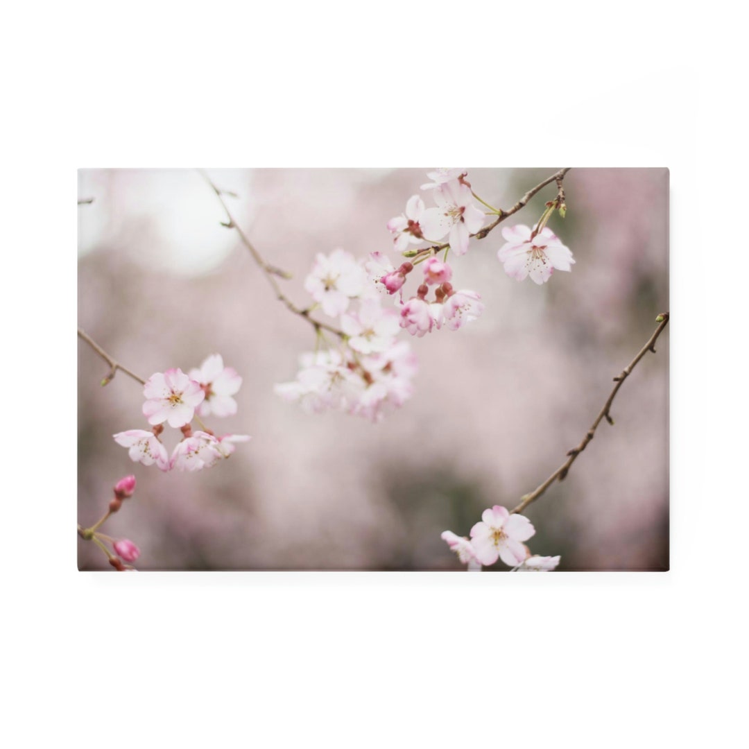 Classic Magnets, Cherry Blossom Serenity, Aesthetic Calming and ...