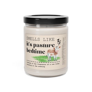 It's Pasture Bedtime Cow Candle, Country Western Farm Shetland Cow ...