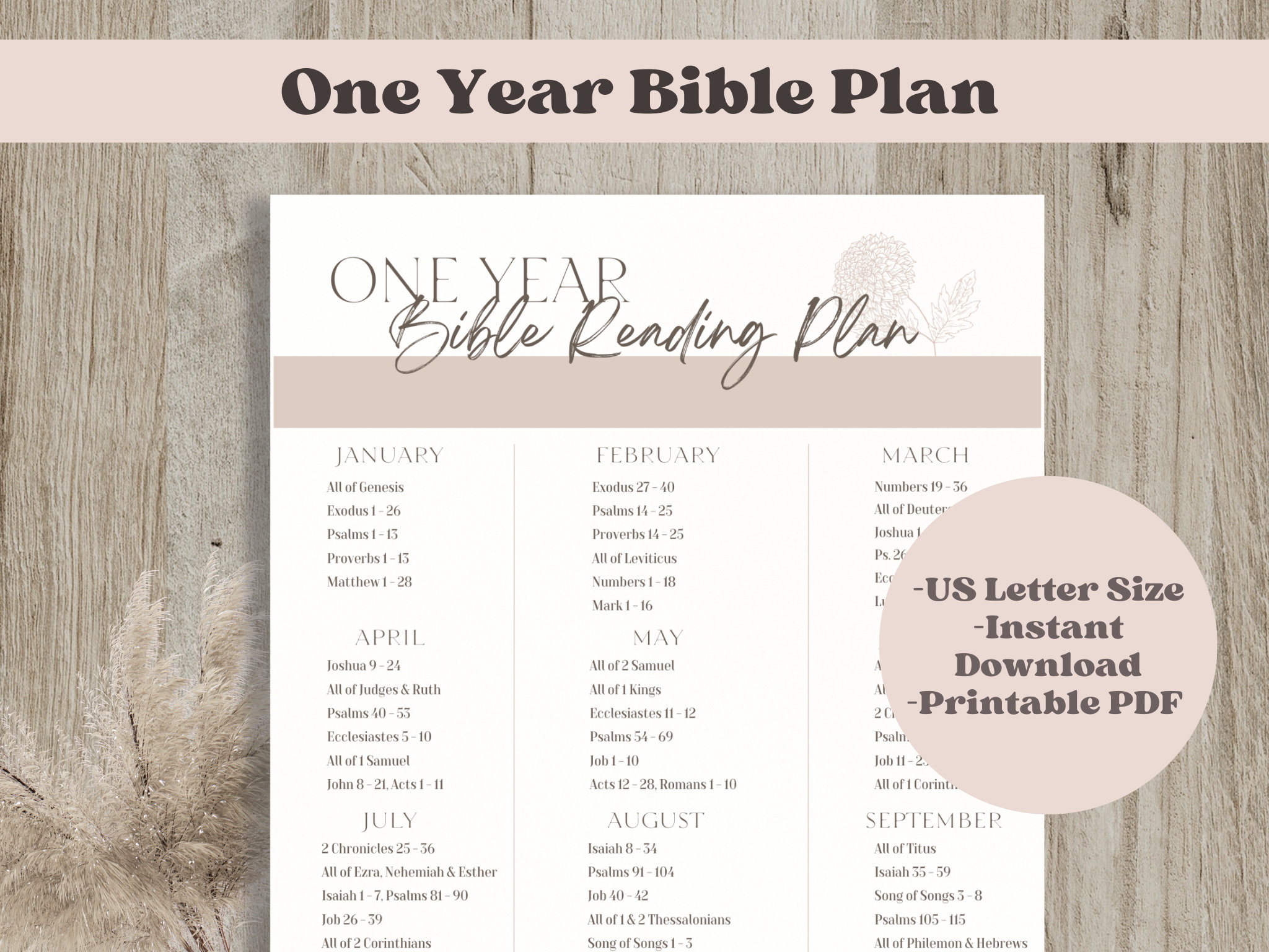 Bible One Year Reading Plan, Read the Whole Bible in a Year, 365 Days ...