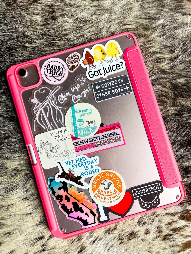 Professional Cat Herder Sticker - Cowboys Herding Cats - Etsy