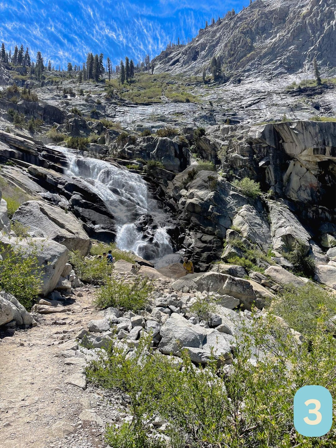 Sequoia National Park Photo Print Set (scenery, California, Trees ...