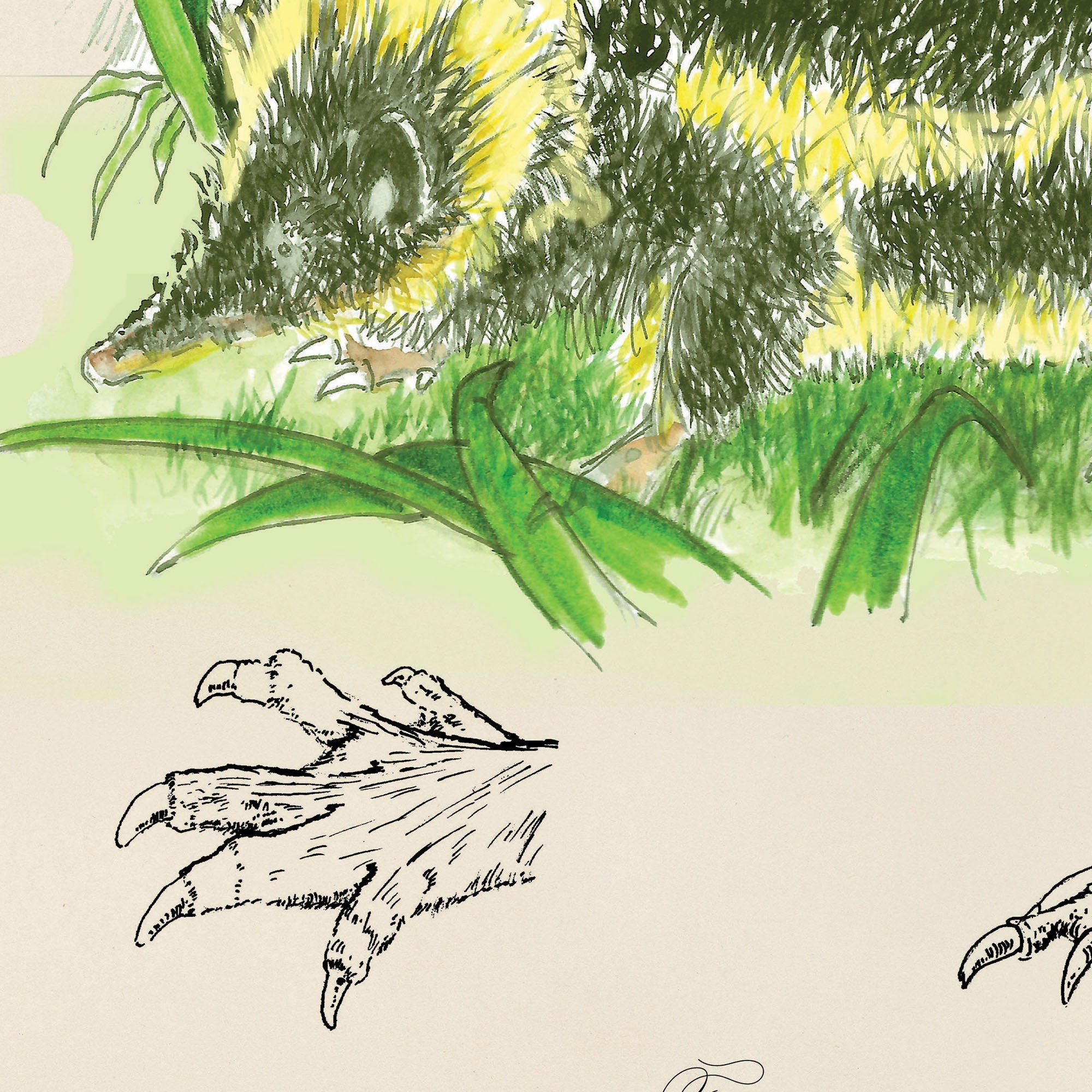 Forest Animal Print, Endemic Tenrec Poster Print. Unique Wildlife ...