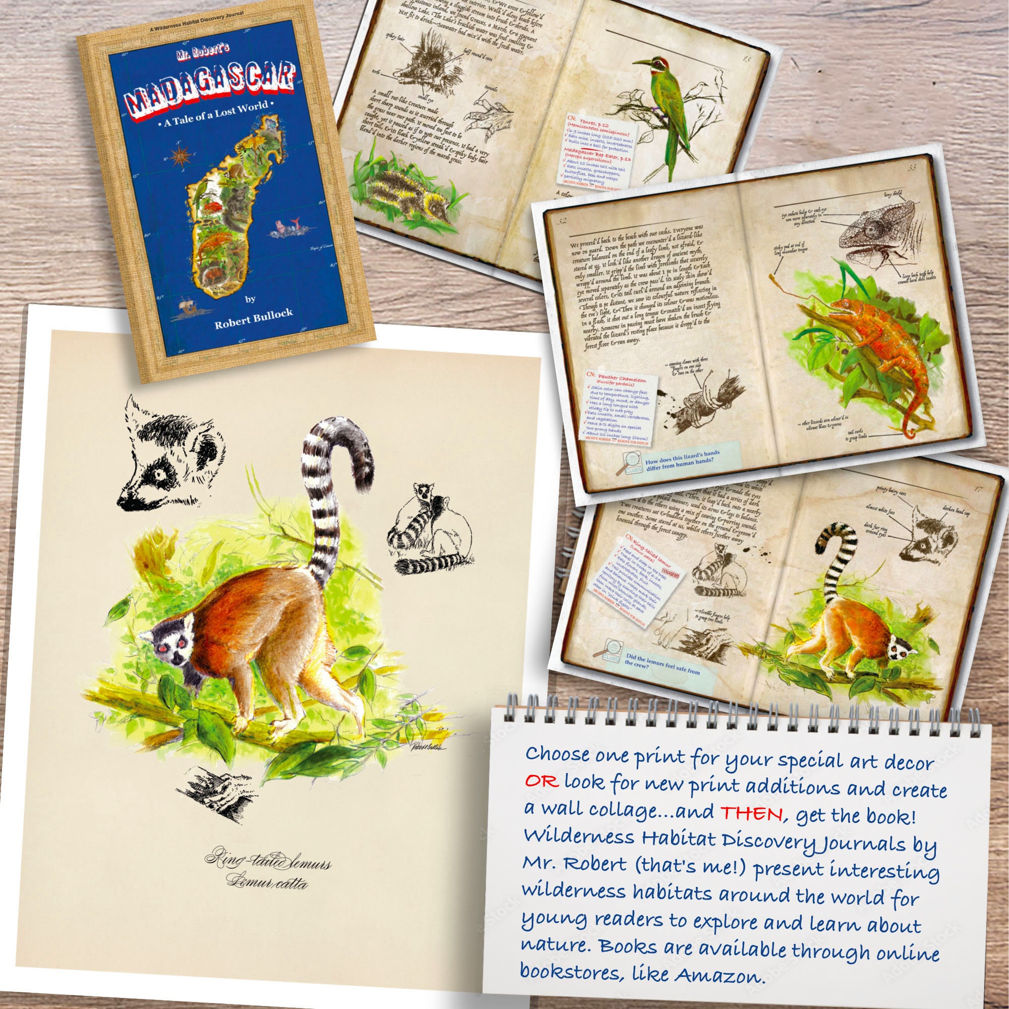 Forest Animal Print, Endemic Tenrec Poster Print. Unique Wildlife ...