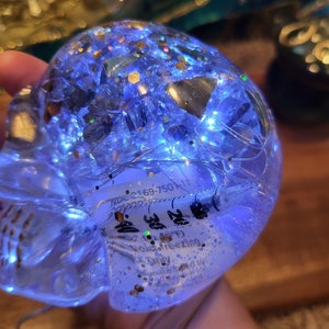 Resin Skull, Shaker Skull, Skull Snow Globe, Snow Globe Skull, Skull ...