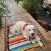 Dog Settle Mat Travel Mat Service Dog Mat Large Dog Collie Sheltie ...