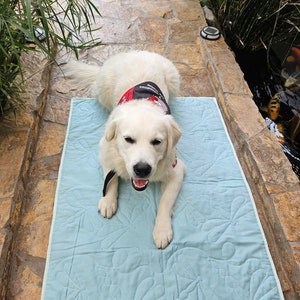 Working Service Dog or Travel Companion Dog Quilted Place Training Mat ...
