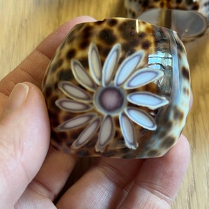 RARE Six Carved Leopard Cowrie Shell Napkin Rings - Etsy