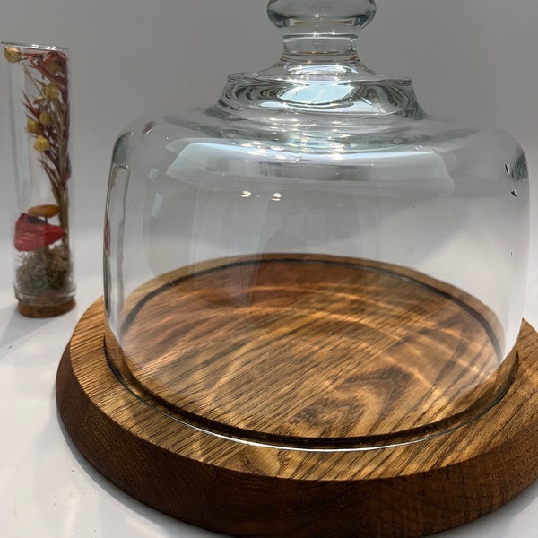 Cheese Cloche - Etsy
