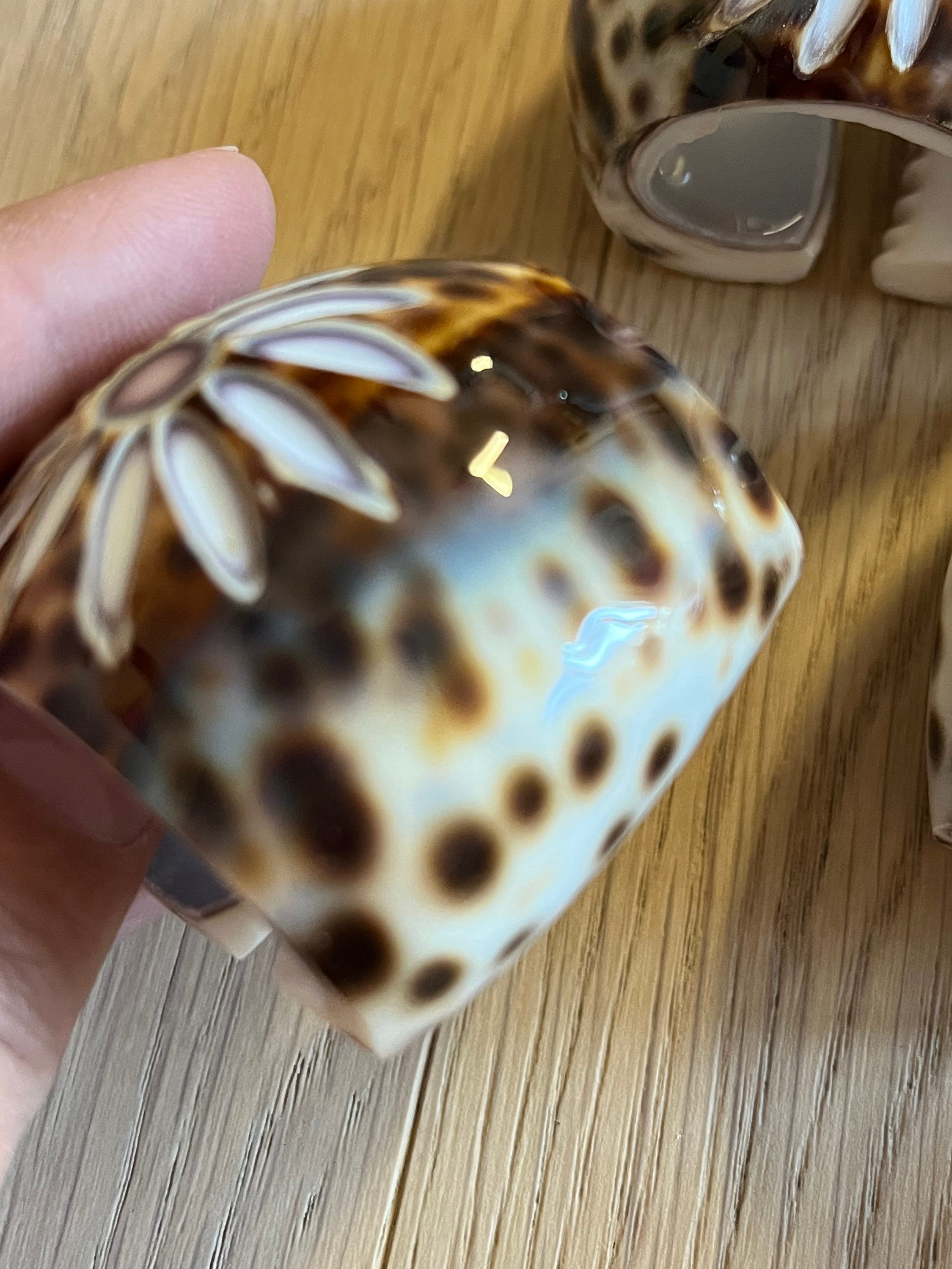 RARE Six Carved Leopard Cowrie Shell Napkin Rings - Etsy