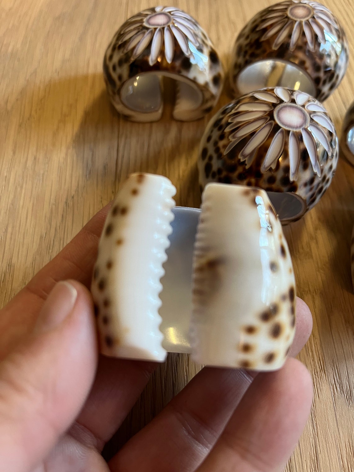 RARE Six Carved Leopard Cowrie Shell Napkin Rings - Etsy