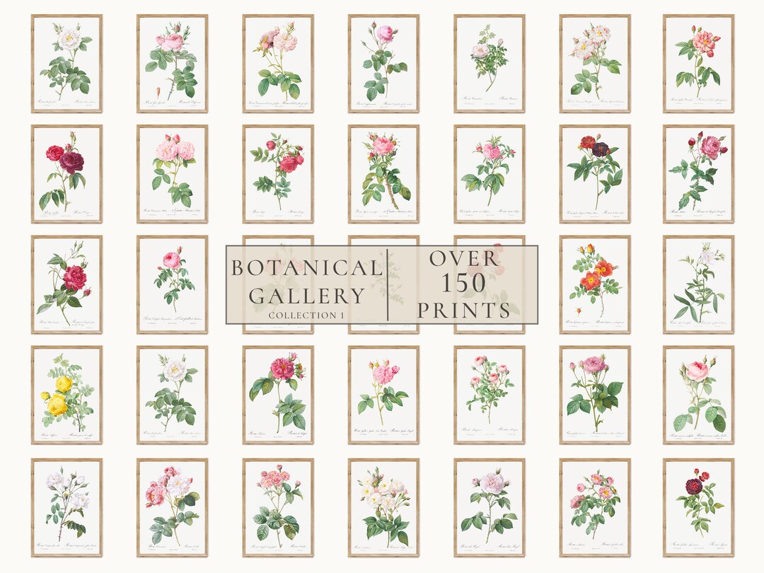 Flower Print Set of 150, Botanical Wall Art, Floral Decor Posters ...