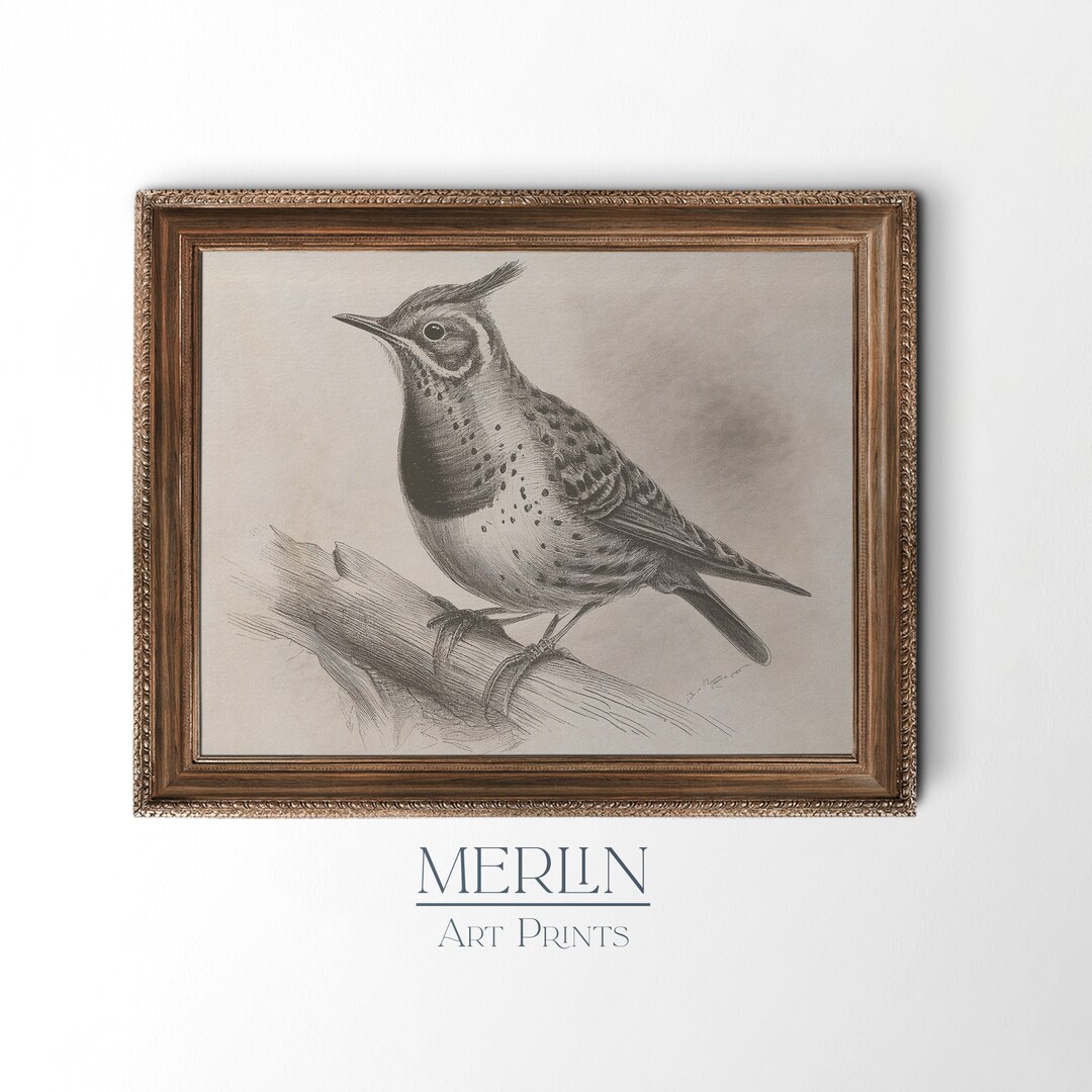 Printable Vintage Bird Sketch Art Digital Download Neutral Wall Decor ...
