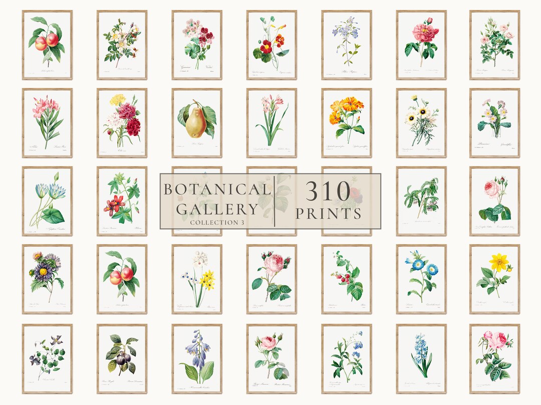 Flower Print Set of 310, Botanical Wall Art, Floral Decor Posters ...
