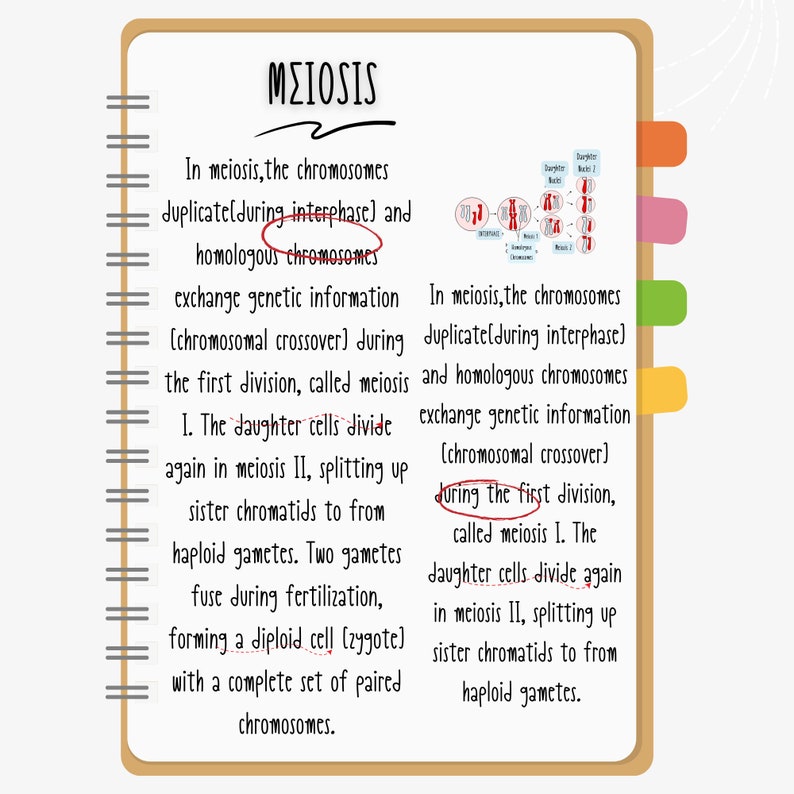 Handwritten Font for Goodnotes, Neat Notetaking (OTF, TTF) - Etsy