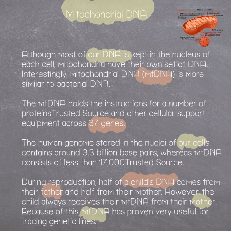 Handwritten Font, Note-taking, Goodnotes (digital Download) - Etsy