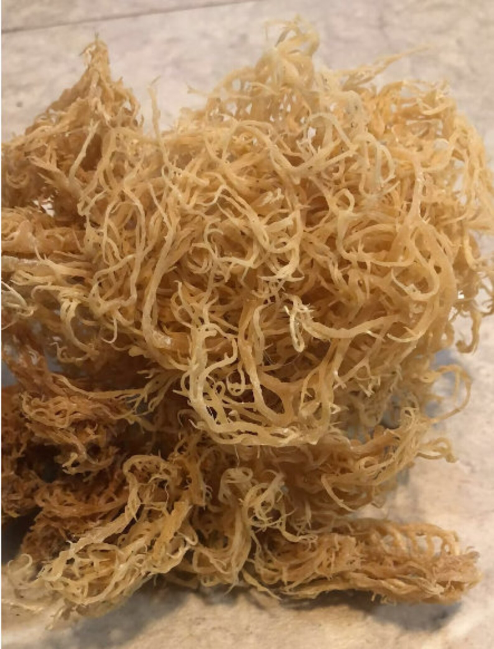 St Lucia Gold Wildcrafted Sea Moss | Premium Grade A- 100% Wild Crafted ...