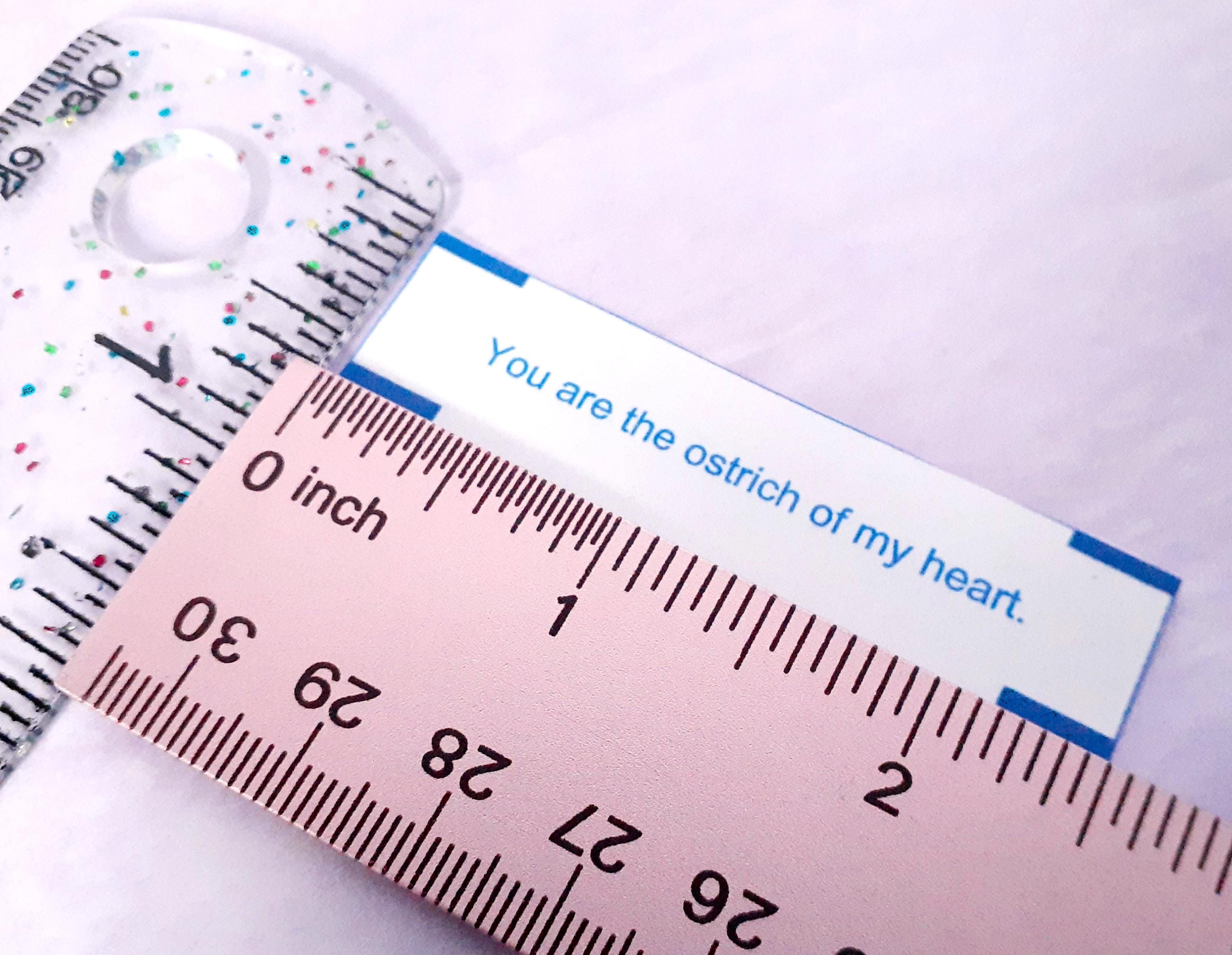 99 Ridiculous Fortune Messages - Digital Download - Wacky Fortunes ...