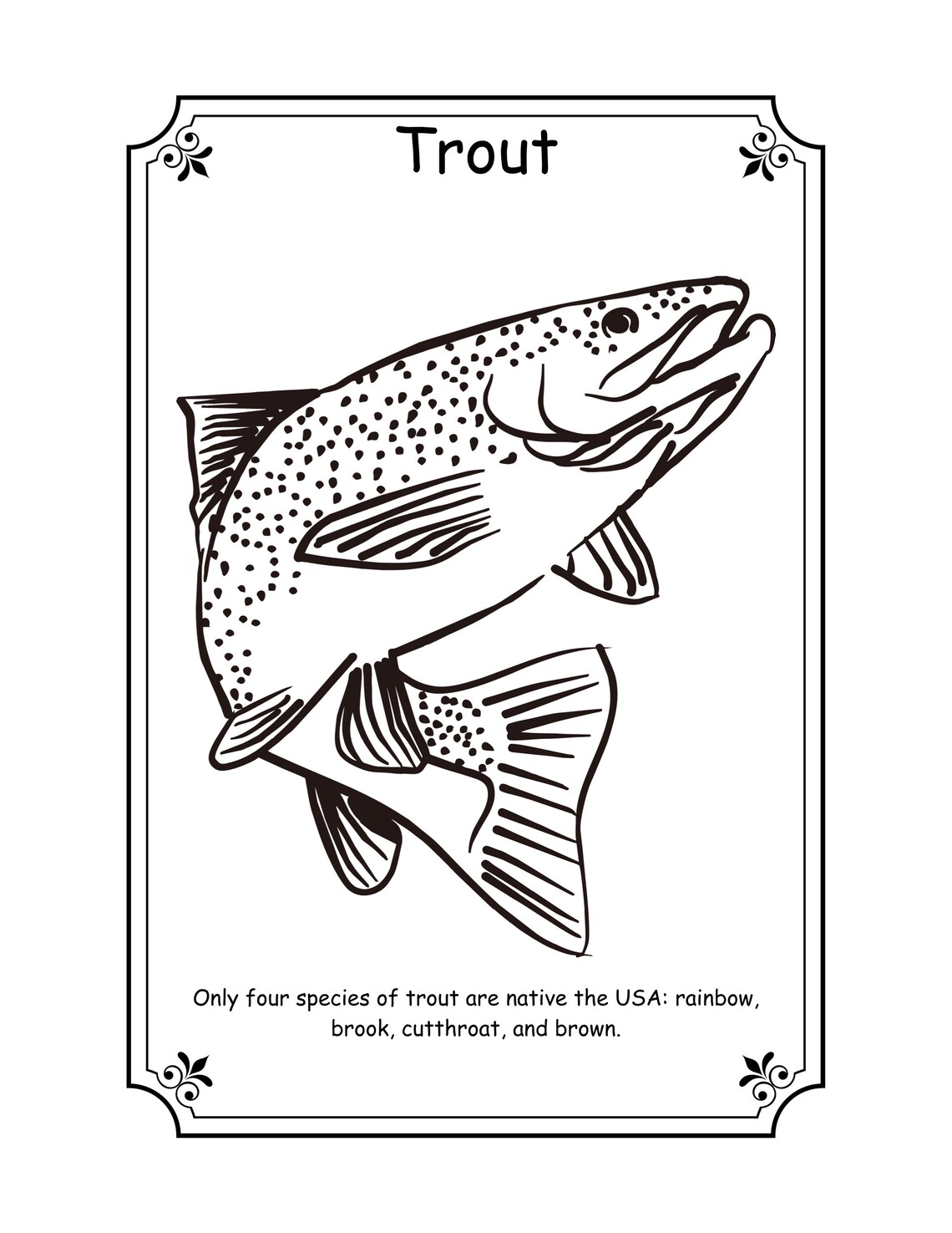 Digital Fish Coloring Pages: Salmon, Trout, Walleye - Etsy