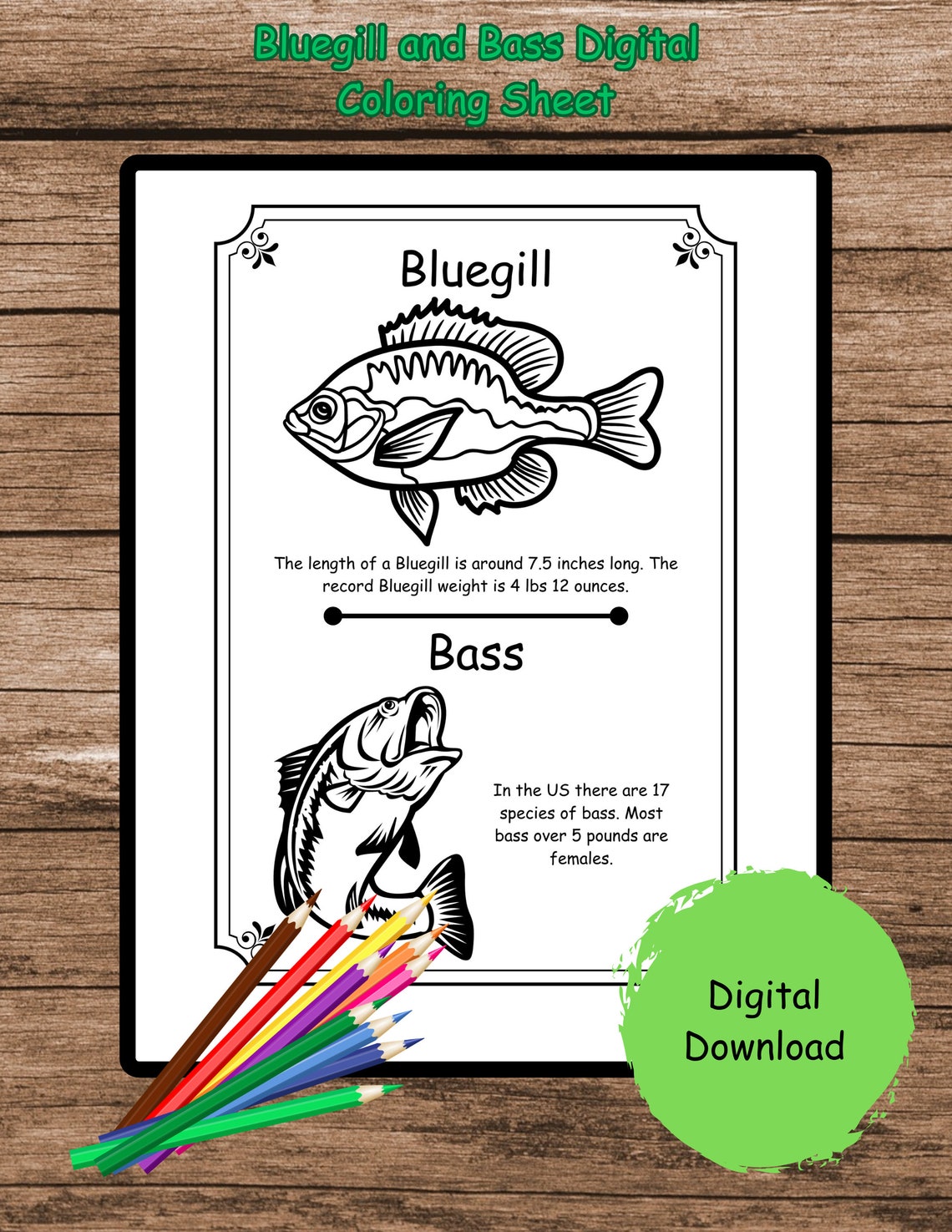 Bluegill & Bass Digital Coloring Page - Etsy