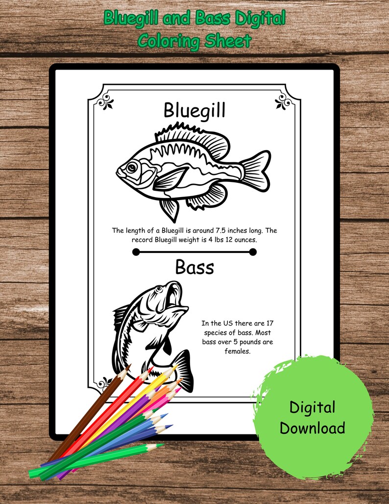 Bluegill & Bass Digital Coloring Page - Etsy
