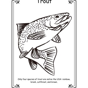 Digital Printable Trout Coloring Page - Etsy