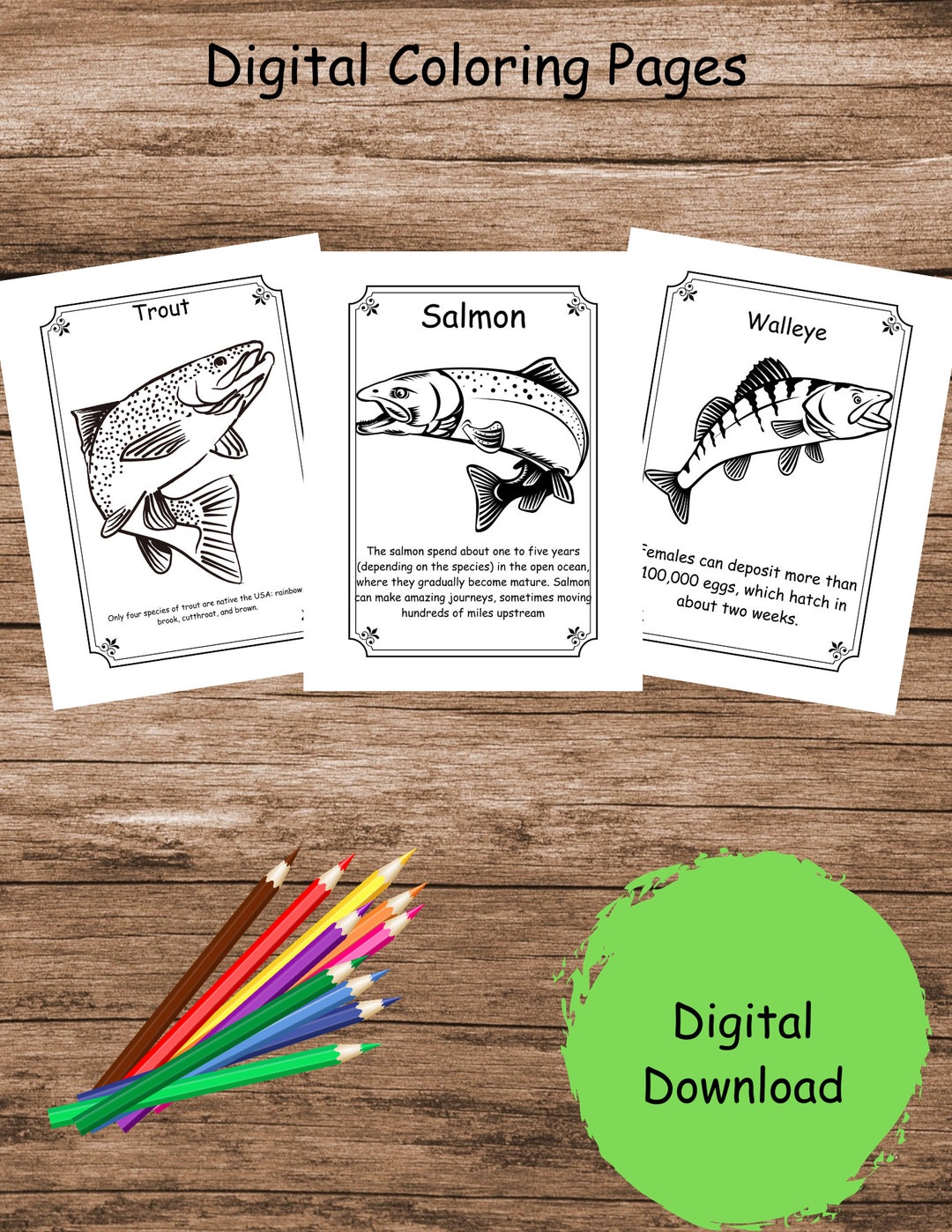 Digital Fish Coloring Pages: Salmon, Trout, Walleye - Etsy