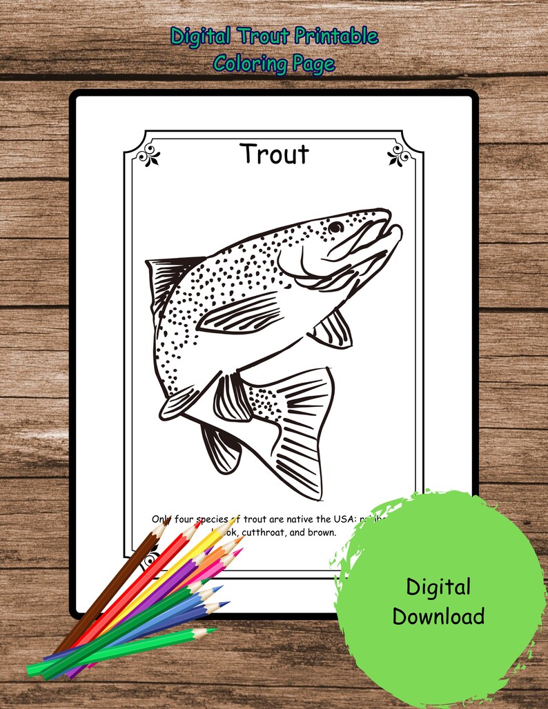 Digital Printable Trout Coloring Page - Etsy