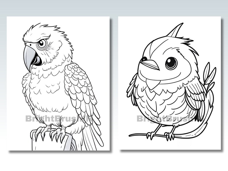 50 Cute Birds Coloring Pages for Kids Printable Kawaii Birds - Etsy