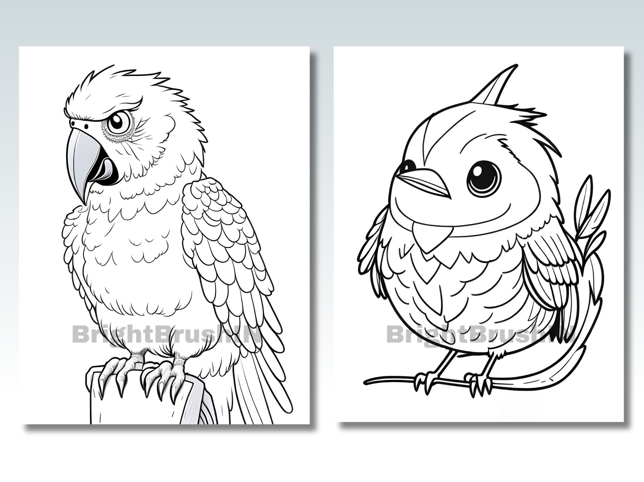 50 Cute Birds Coloring Pages for Kids, Printable Kawaii Birds Coloring ...
