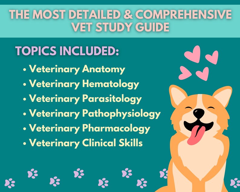 Complete Veterinary Bundle Vet Med Lessons Domestic Animal Physician ...
