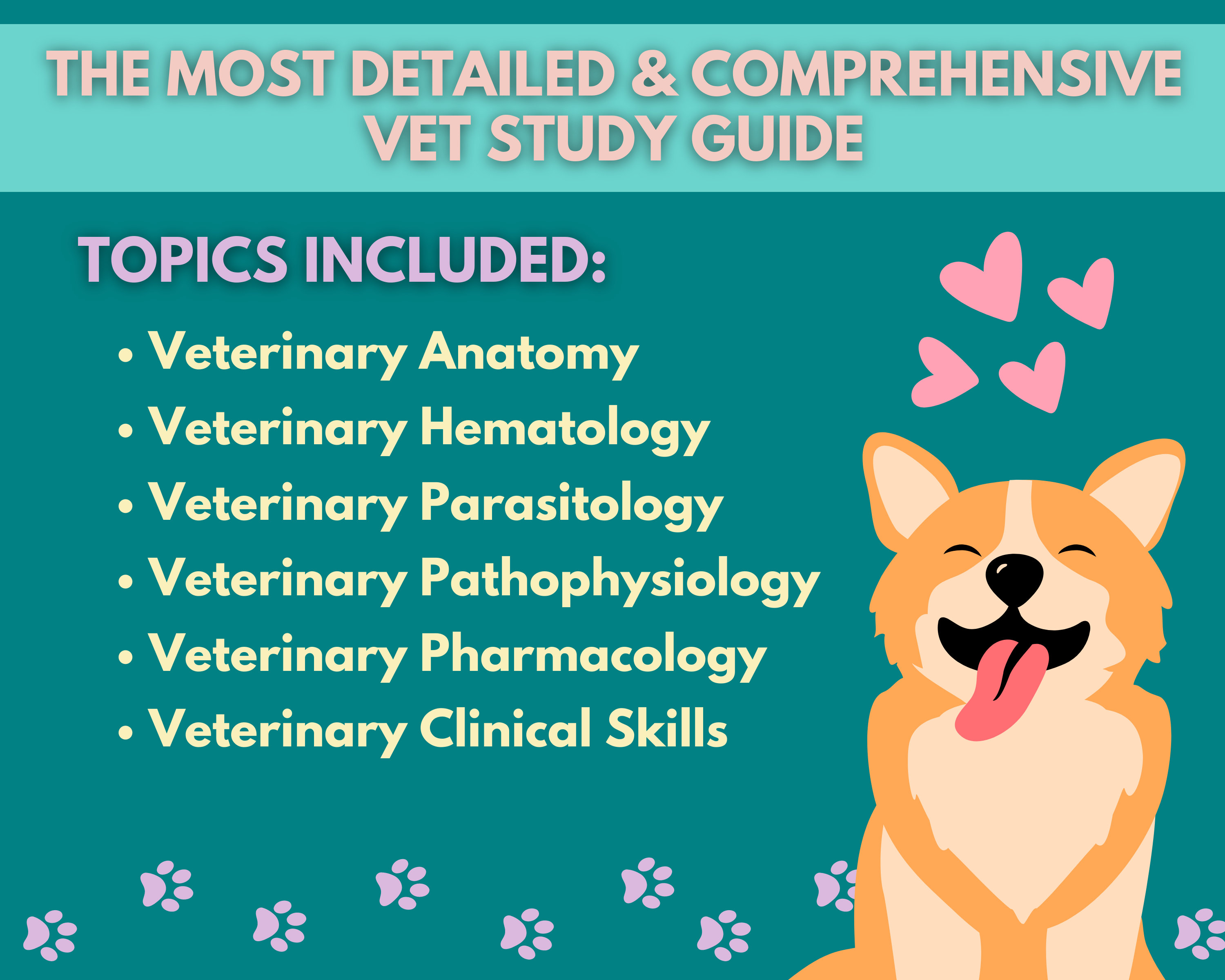Complete Veterinary Bundle Vet Med Lessons Domestic Animal Physician ...
