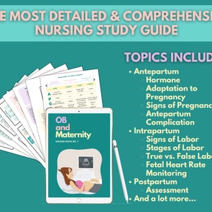 Nursing OB & Maternity Bundle Study Guide Notes 33 Pages PDF Digital ...