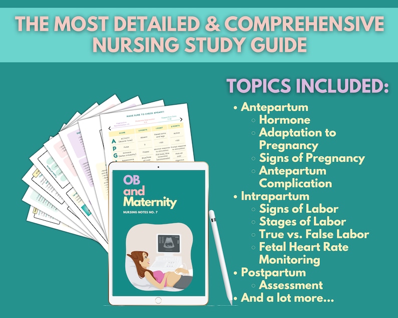 Nursing OB & Maternity Bundle Study Guide Notes 33 Pages PDF Digital ...