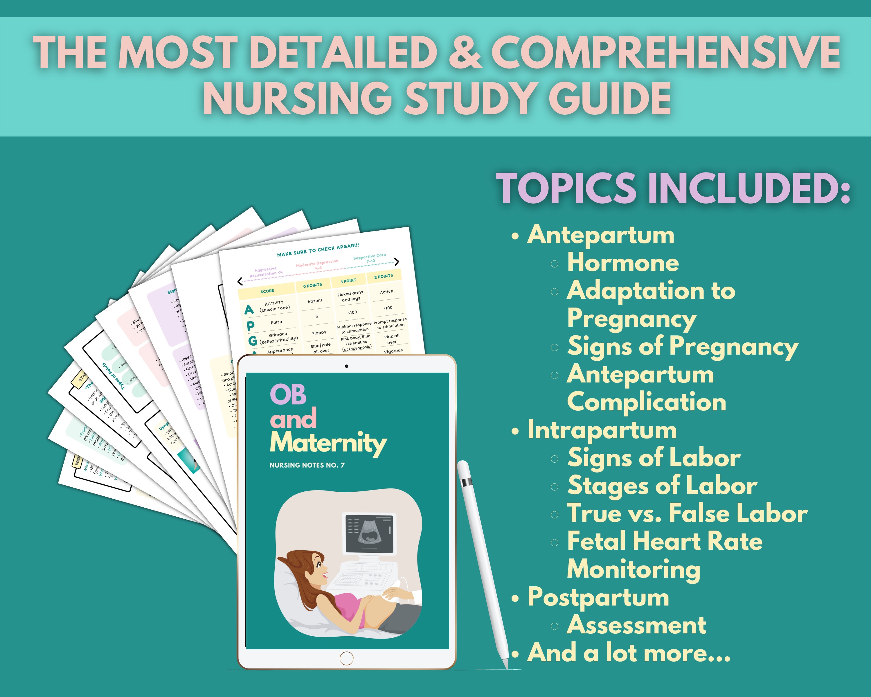 Nursing OB & Maternity Bundle Study Guide Notes 33 Pages PDF Digital ...