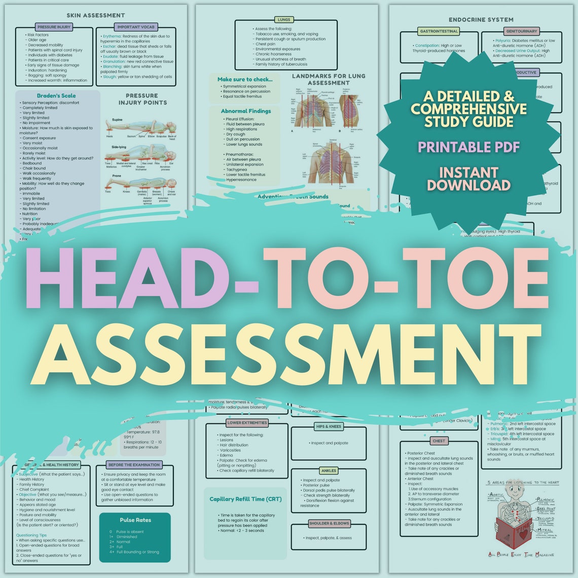 Head-to-toe Assessment Bundle Study Guide Notes 15 Pages PDF Digital ...