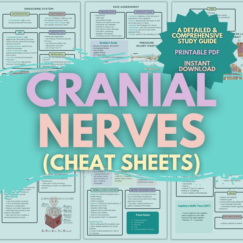 Cranial Nerves Cheat Sheet Lesson Instant PDF Printable Guide Med ...