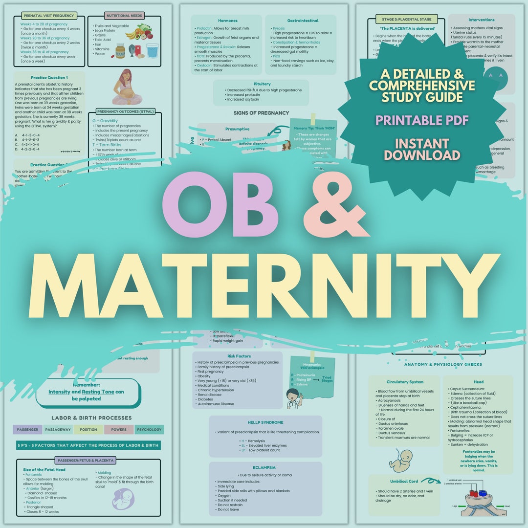 Nursing OB & Maternity Bundle Study Guide Notes 33 Pages PDF Digital ...