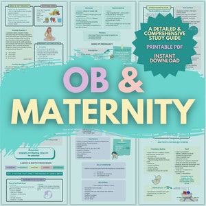 Nursing OB & Maternity Bundle Study Guide Notes 33 Pages PDF Digital ...