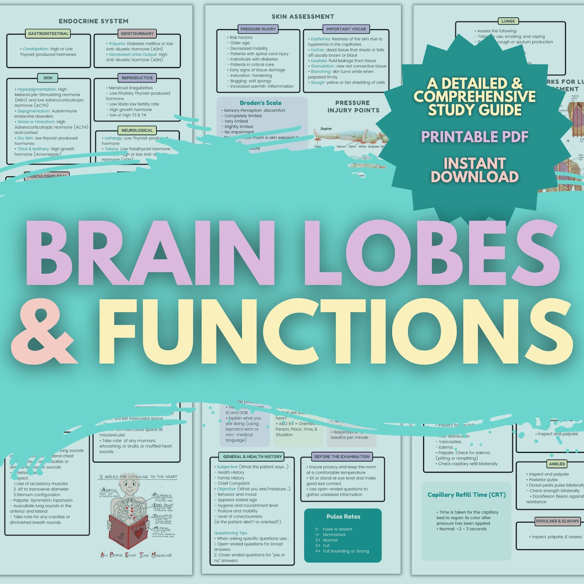 Brain Lobes & Functions Study Notes Nursing Study Sheets Med School ...