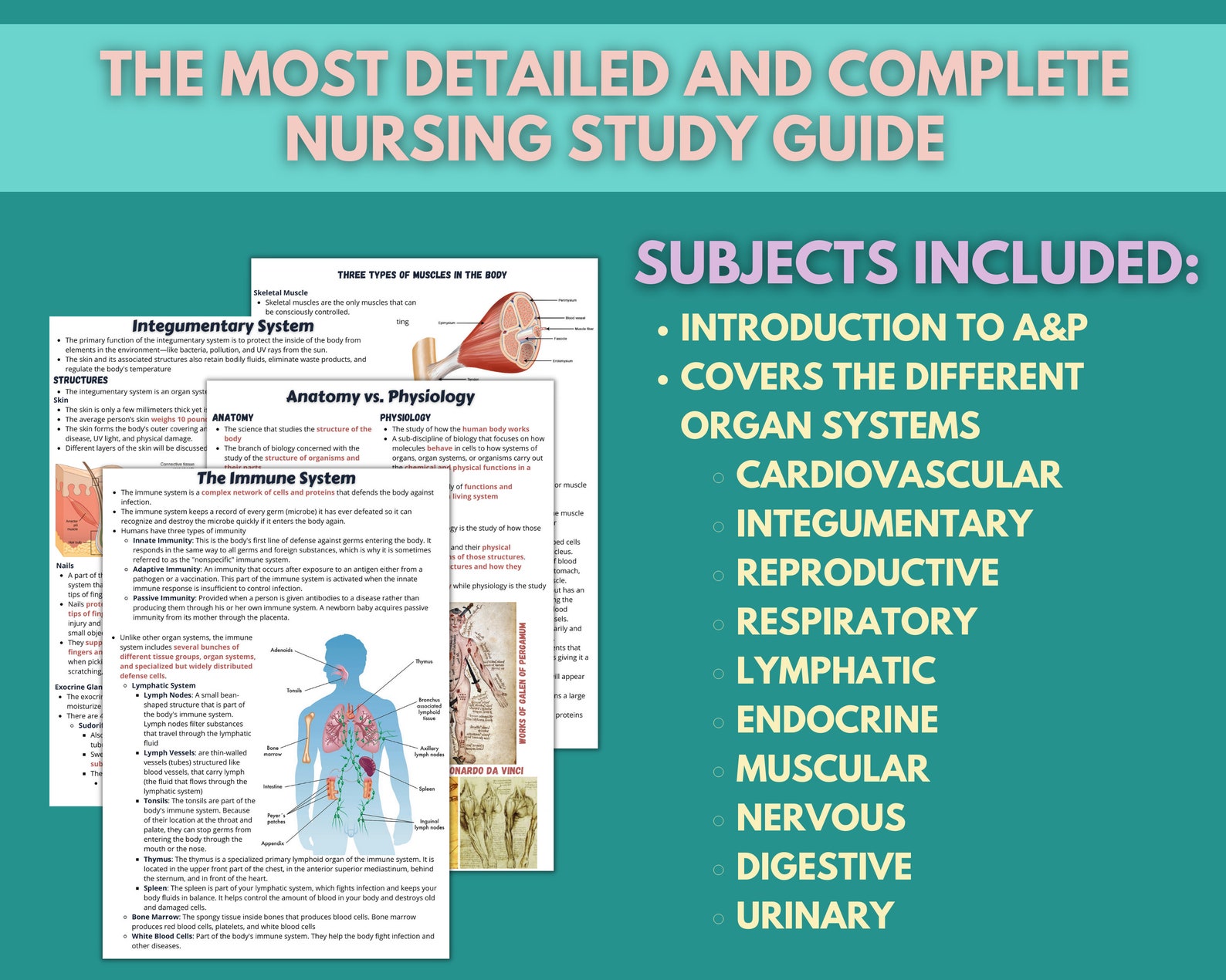 80 Pages Anatomy and Physiology Bundle Package Nurse Study Notes ...