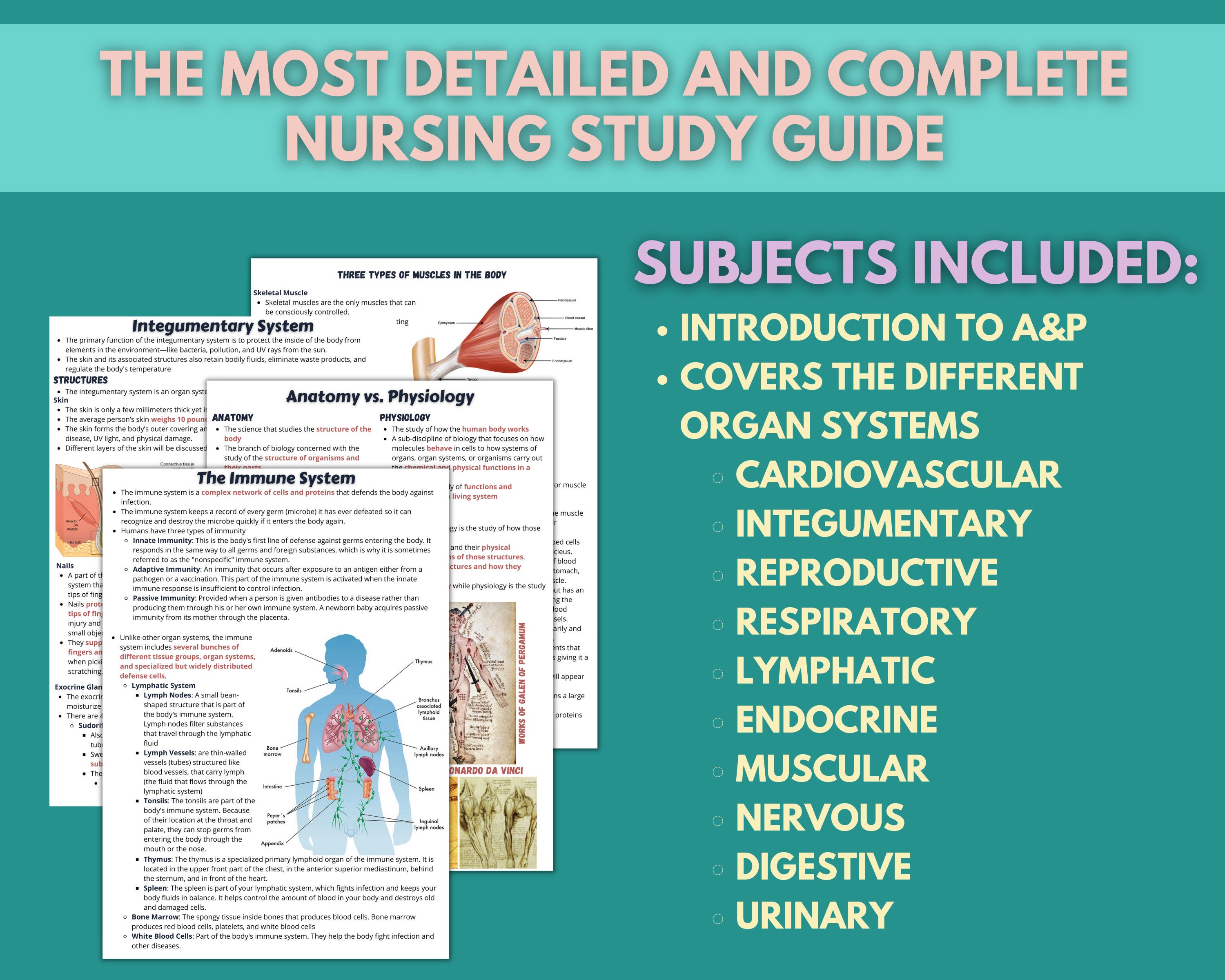 80 Pages Anatomy and Physiology Bundle Package Nurse Study Notes ...
