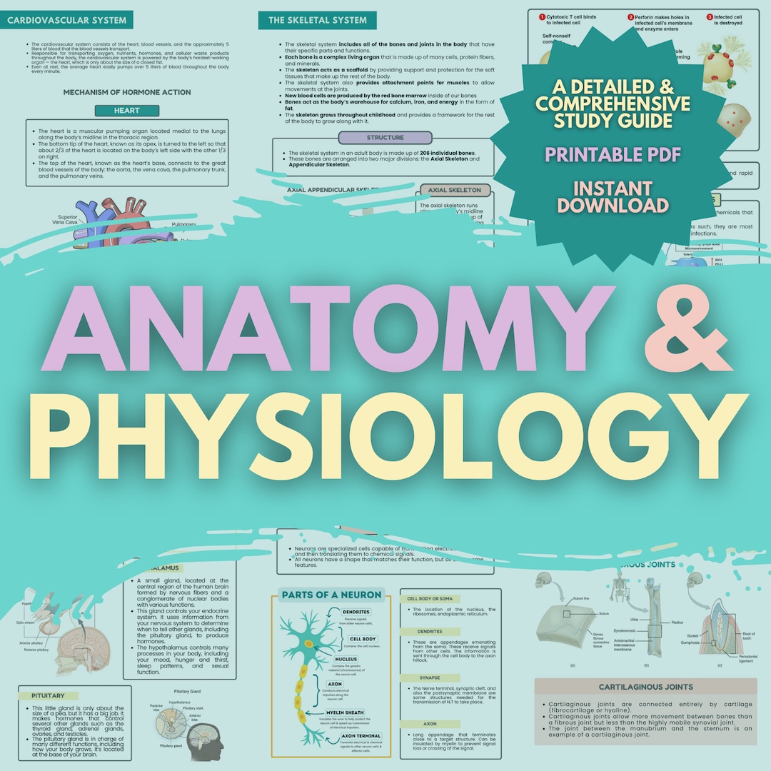 80 Pages Anatomy and Physiology Bundle Package Nurse Study Notes ...